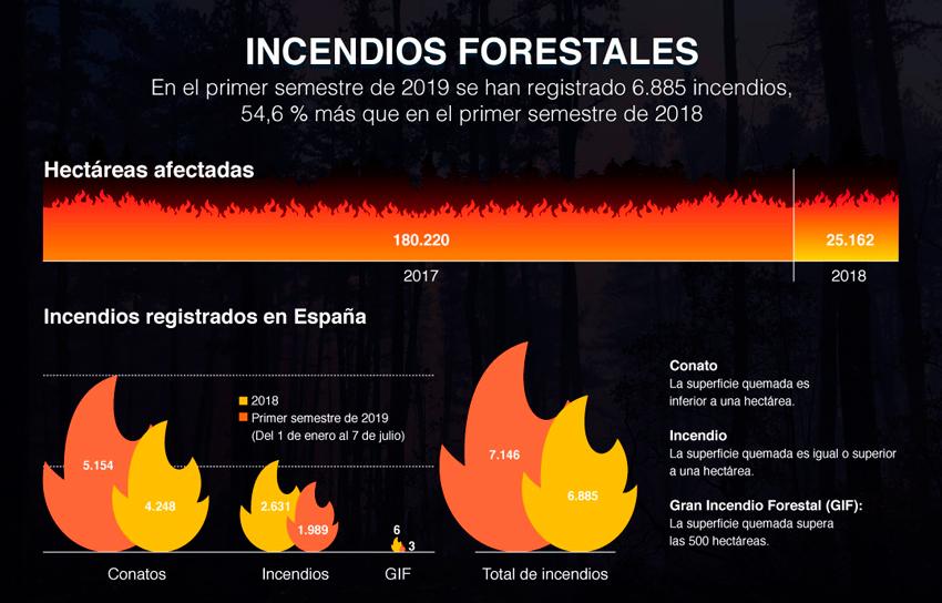 En lo que va de año, el fuego ya ha arrasado más de 55.000 hectáreas en ...