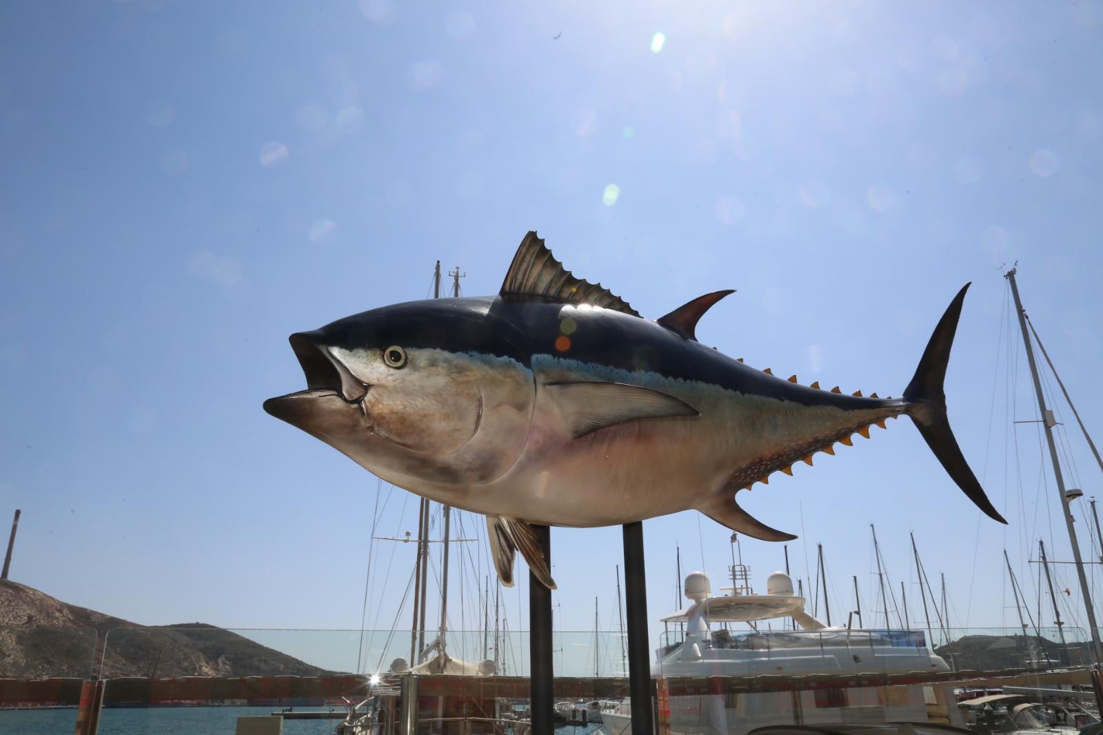La primera feria dedicada a conocer el Atún Rojo de Acuicultura de ...