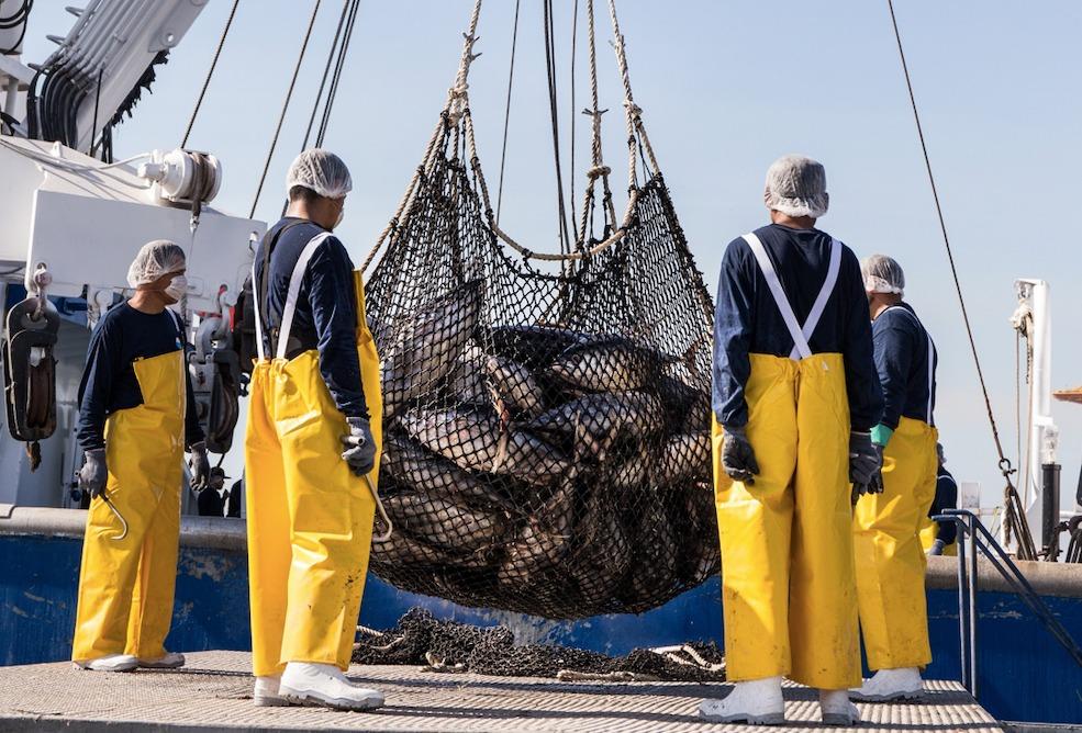 Grupomar® implementa acciones con los océanos en el día mundial de la ...
