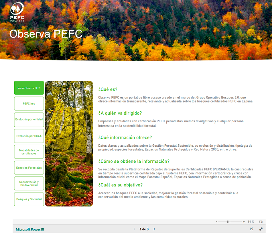 Observa PEFC: la nueva plataforma con información sobre superficie certificada PEFC | Noticias ...